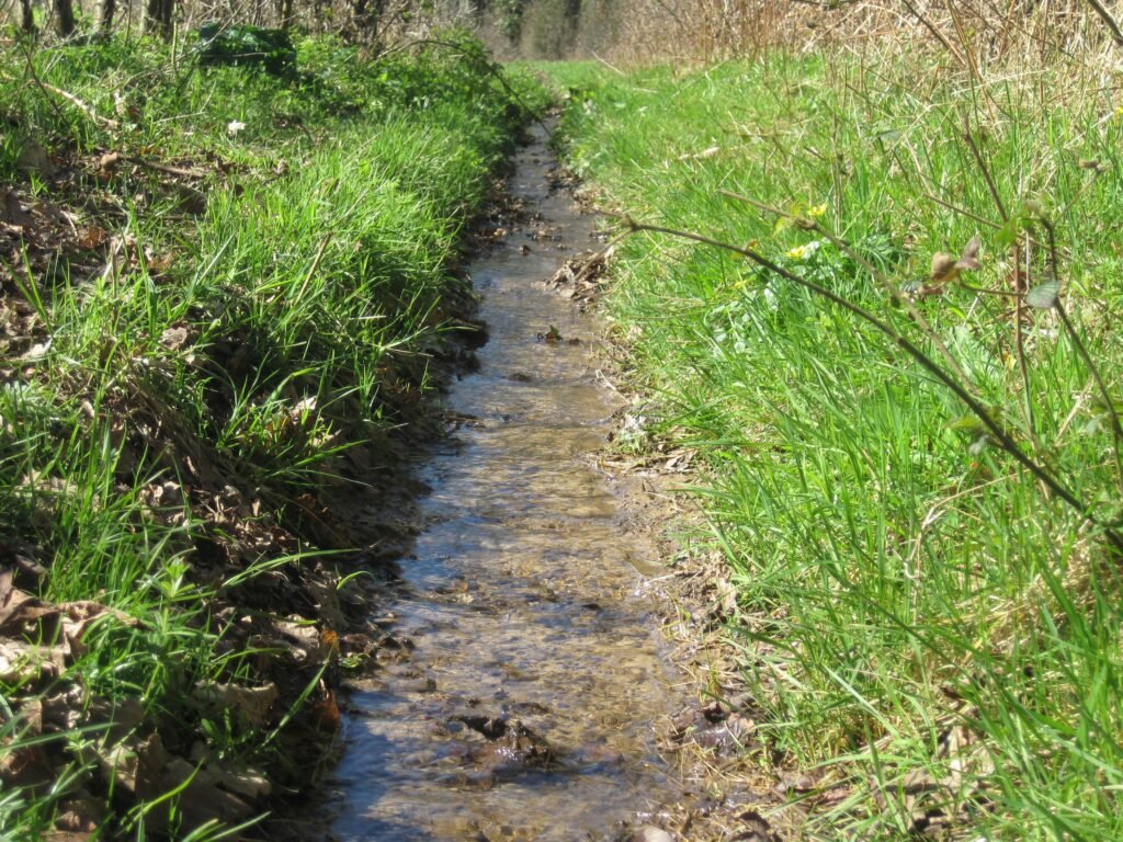 How Have Farms Reduced Sediment Loss in Catchment Areas?